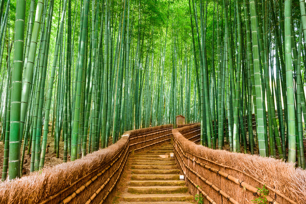 Beneficios de la telas de bambú | Smart Bamboo